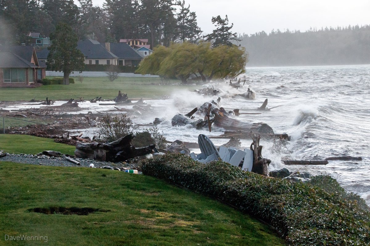 Saving lives from extreme heat: Lessons from the deadly 2021 Pacific ...