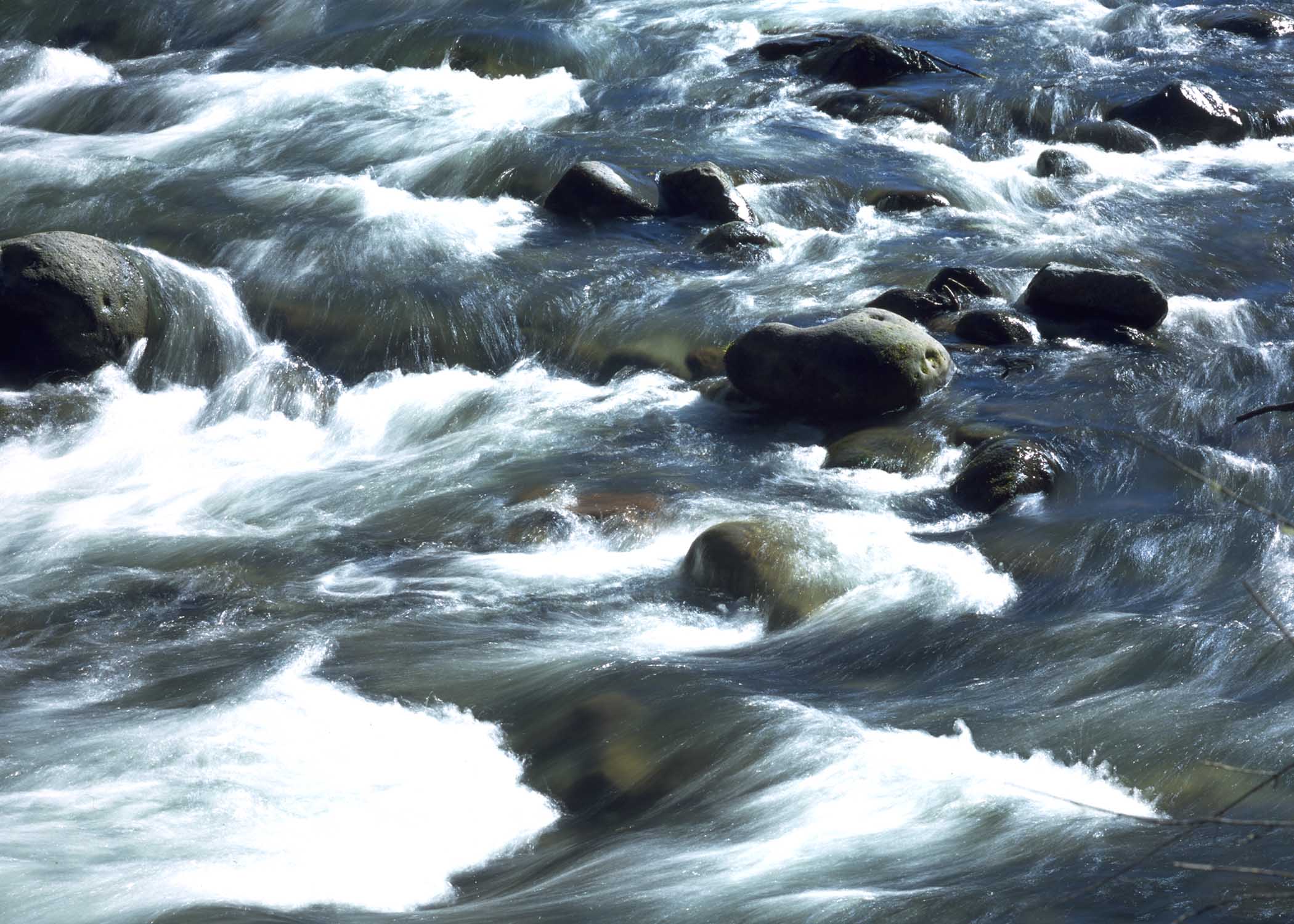 Upcoming Webinar: Stream Temperature Handbook Update (May 3rd)