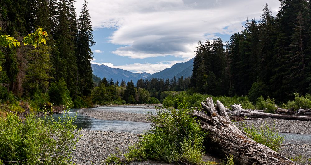 Stream Temperature Handbook