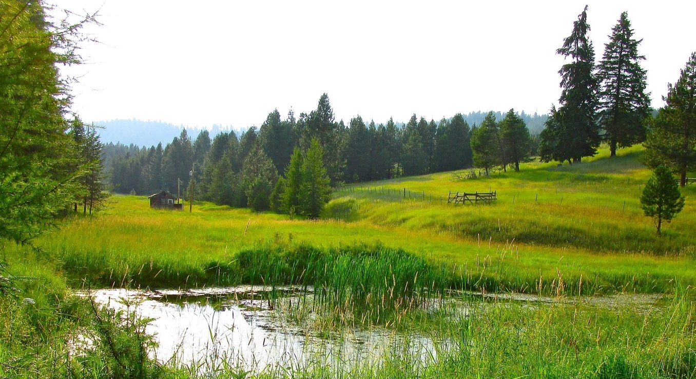 Climate Vulnerability Assessment for Meadows