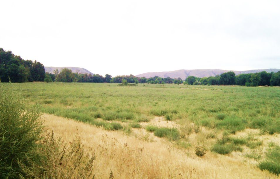 Climate Vulnerability Assessment for Meadows