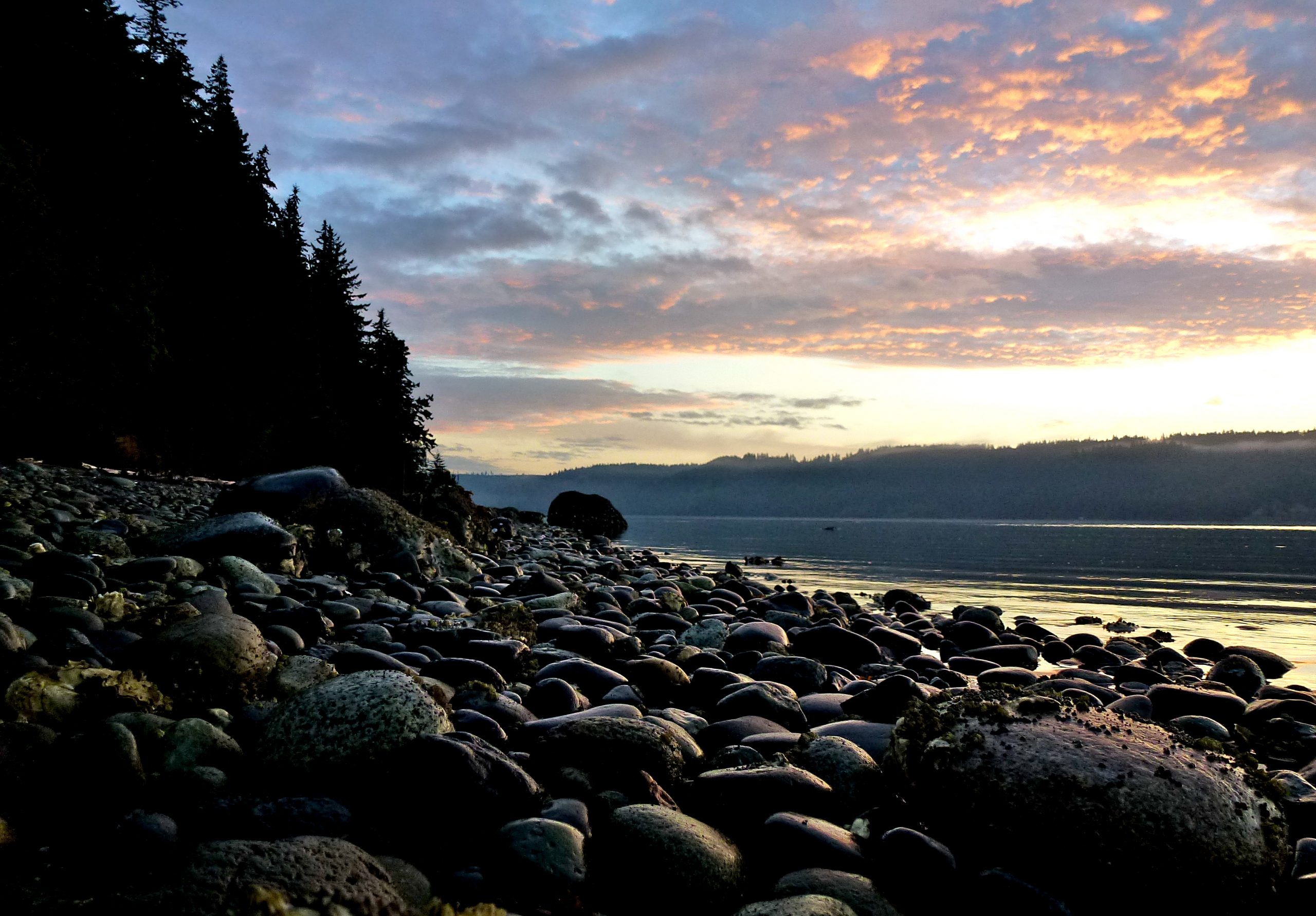 Biophysical Climate Risks and Economic Impacts for Washington State