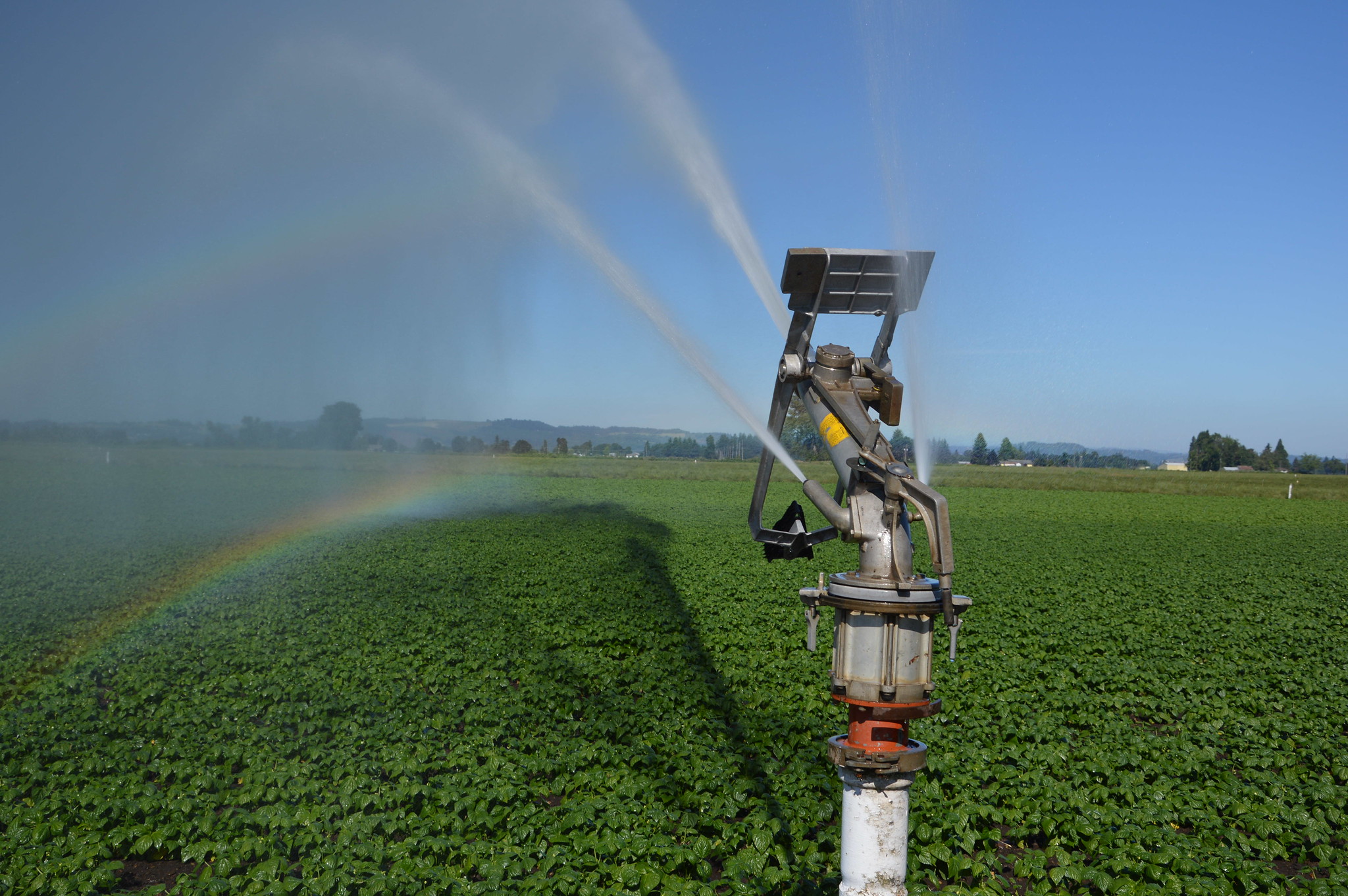 Review of policy responses to nitrate contaminated groundwater